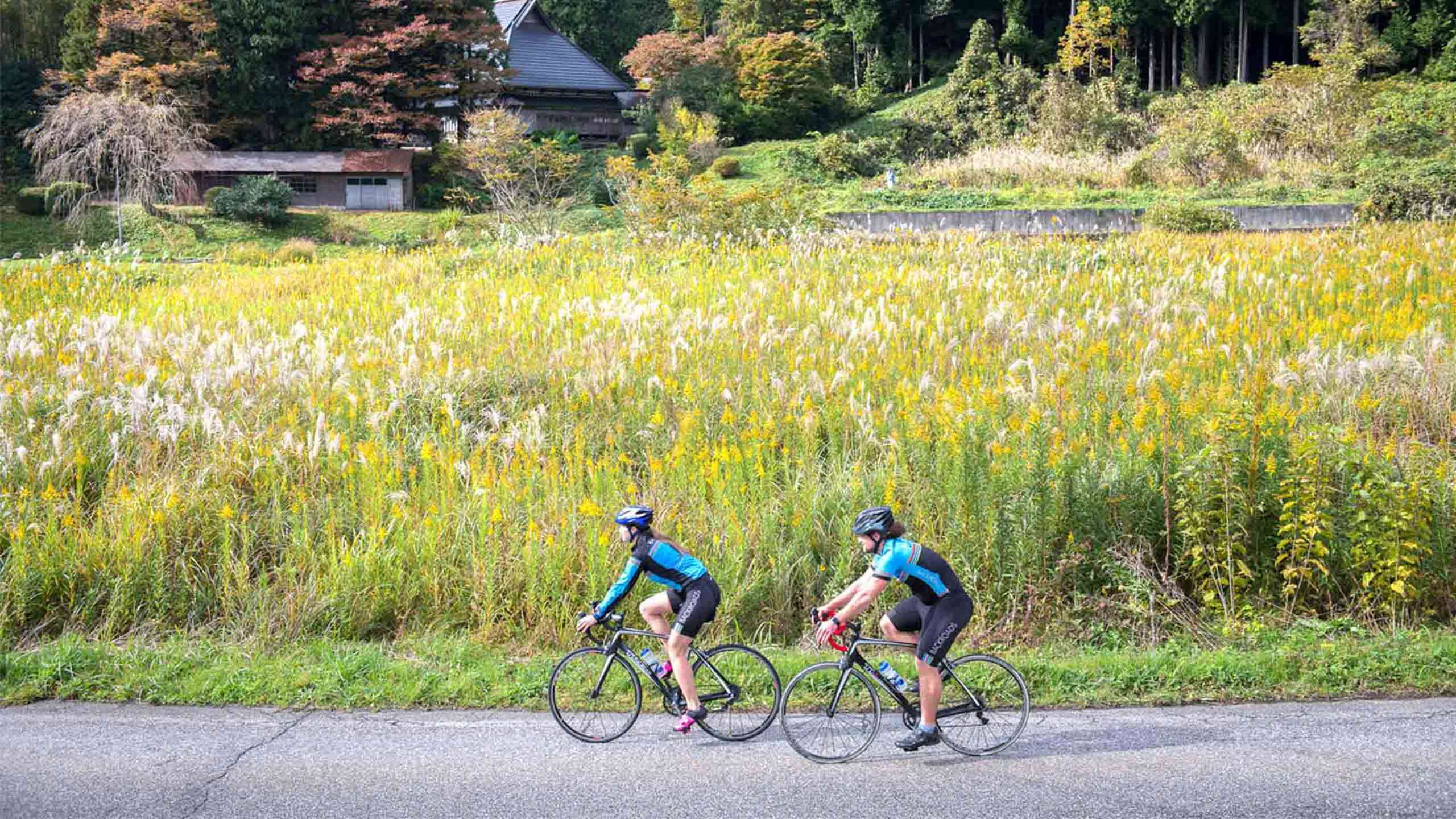 Luxury Japan Cycle 8D7N (The Noto Peninsula To Kyoto) Fully Guided ...