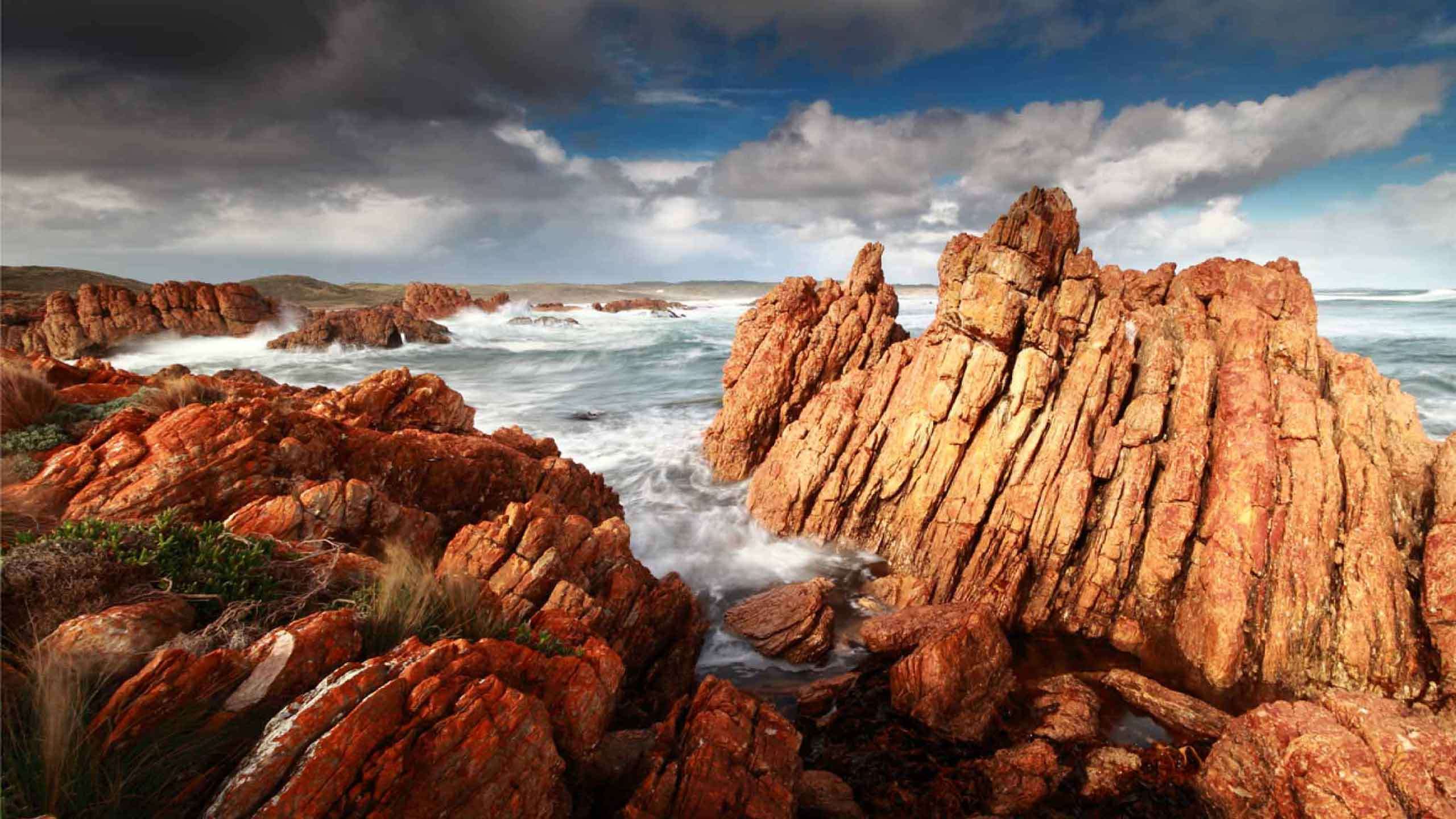 Tasmania Tarkine Wilderness Walk & Cruise 3D2N - Tarkine Wilderness ...