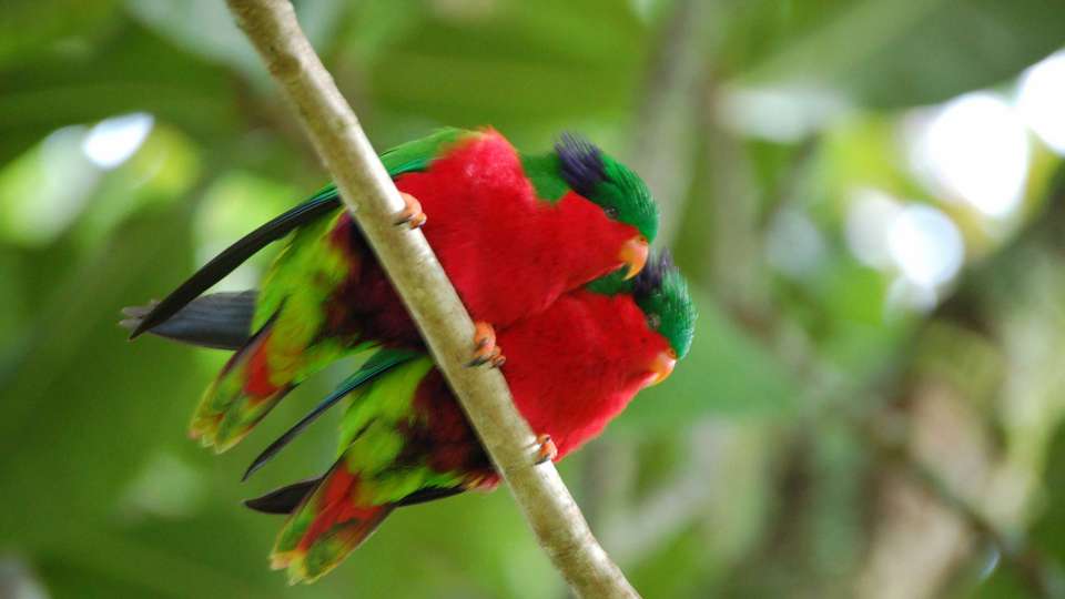 Cook Islands Holidays - Cook Islands Holidays All Inclusive - Onlyluxe ...