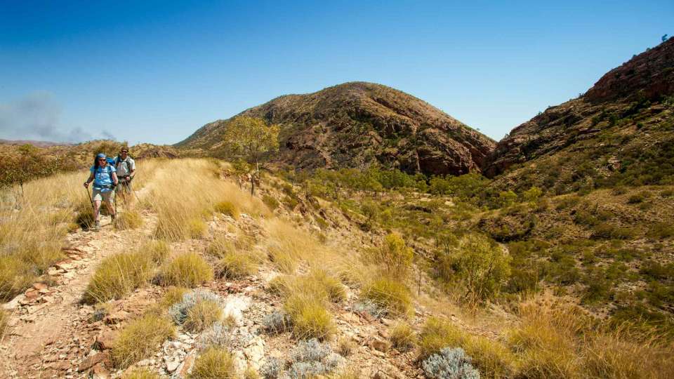 Larapinta Trail Walk - Larapinta Trek - Larapinta Trail - Larapinta ...