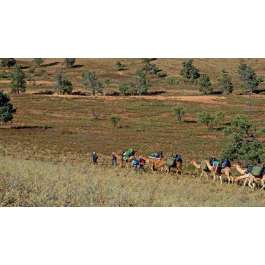 Flinders Ranges Camel Trekking 7D6N Full Guided-ONLYLUXE CLUB