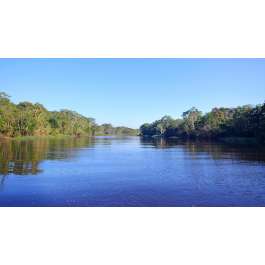 Luxury Aria Amazon Amazon Explorer Cruise 5D4N (Nauta - Nauta) – Amazon ...