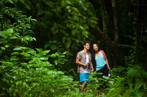 Best of Cook Islands Walking & Island Hopping 11D10N – Cook Islands ...